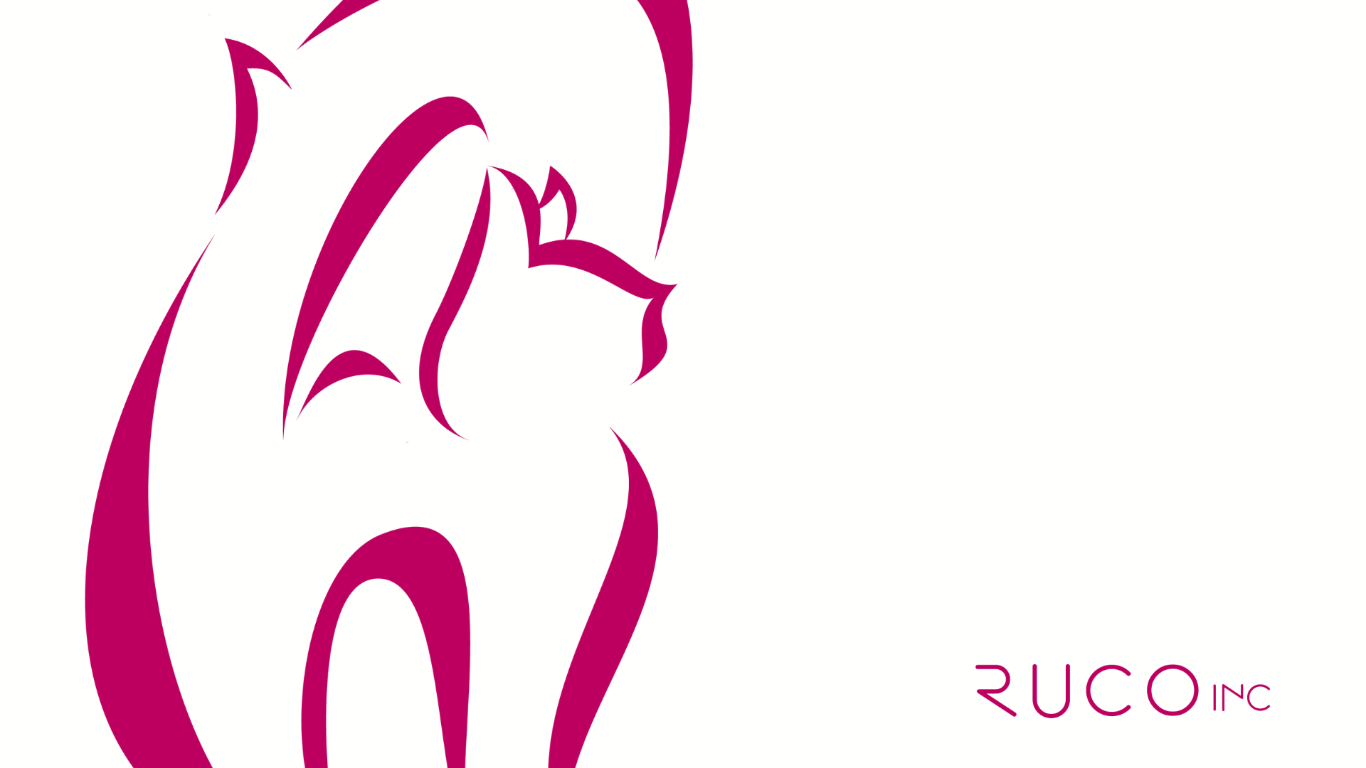 株式会社RUCO | 札幌のWEBマーケティング会社